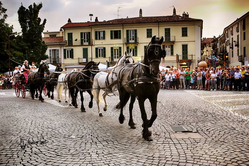 FESTA PATRONALE E FIERA DI SAN SAVINO 2018 - Anfiteatro Morenico Ivrea FESTA PATRONALE E FIERA DI SAN SAVINO 2018 - Anfiteatro Morenico Ivrea